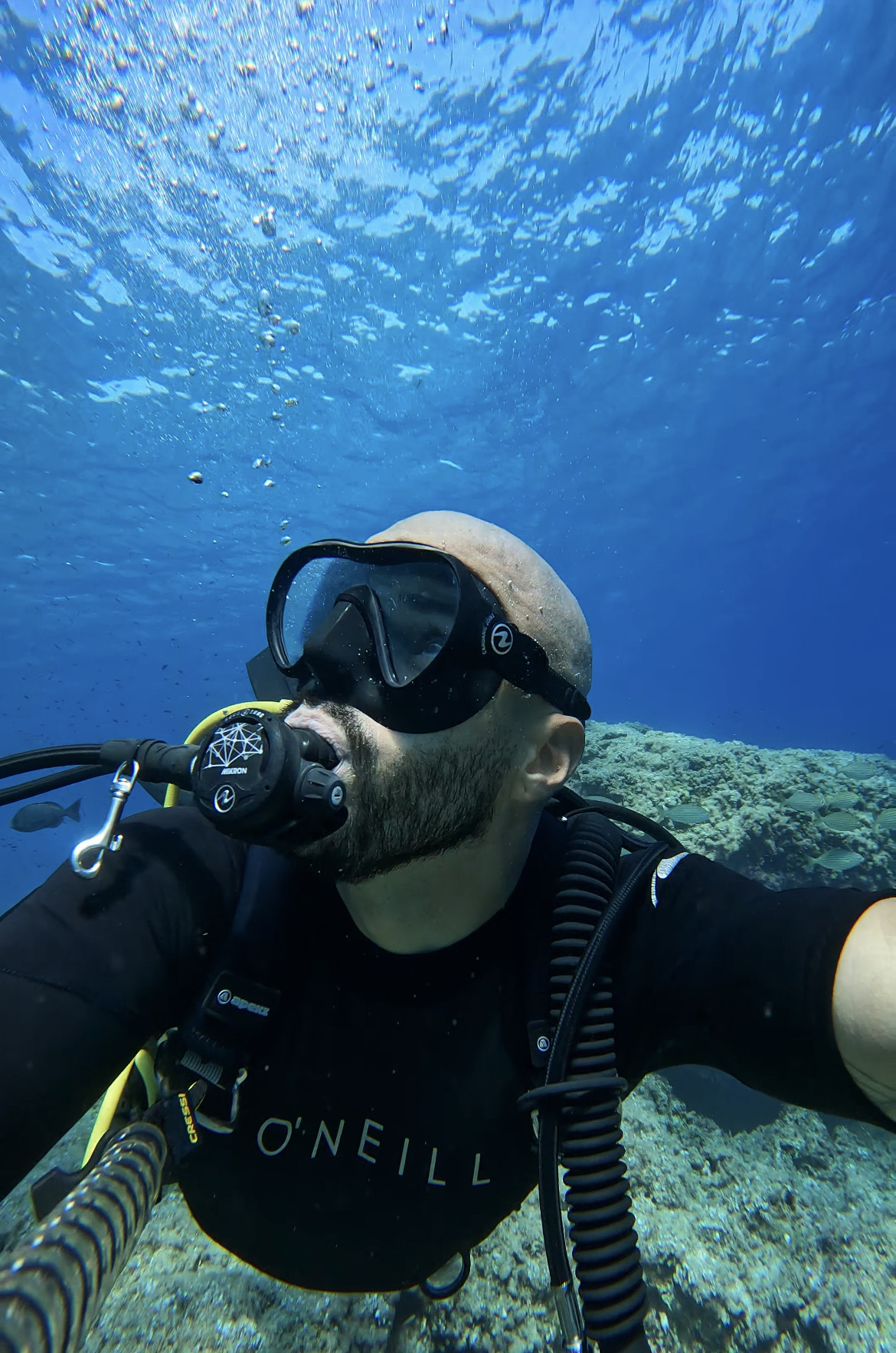 PADI Private Scuba Diving Mallorca - Barracuda 2025